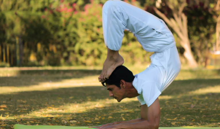 The Kipling Lodge – Nature Kalp