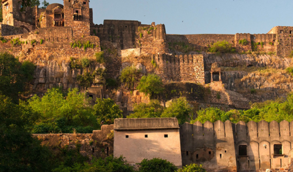 The Kipling Lodge – Nature Kalp